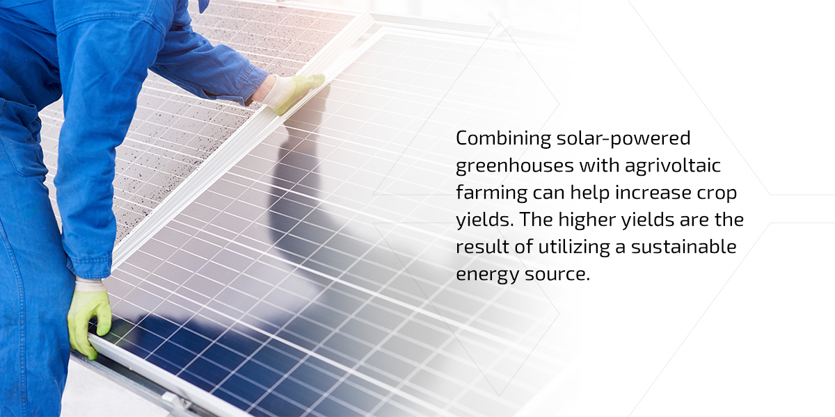 How to Create a Sustainable Agrivoltaics System